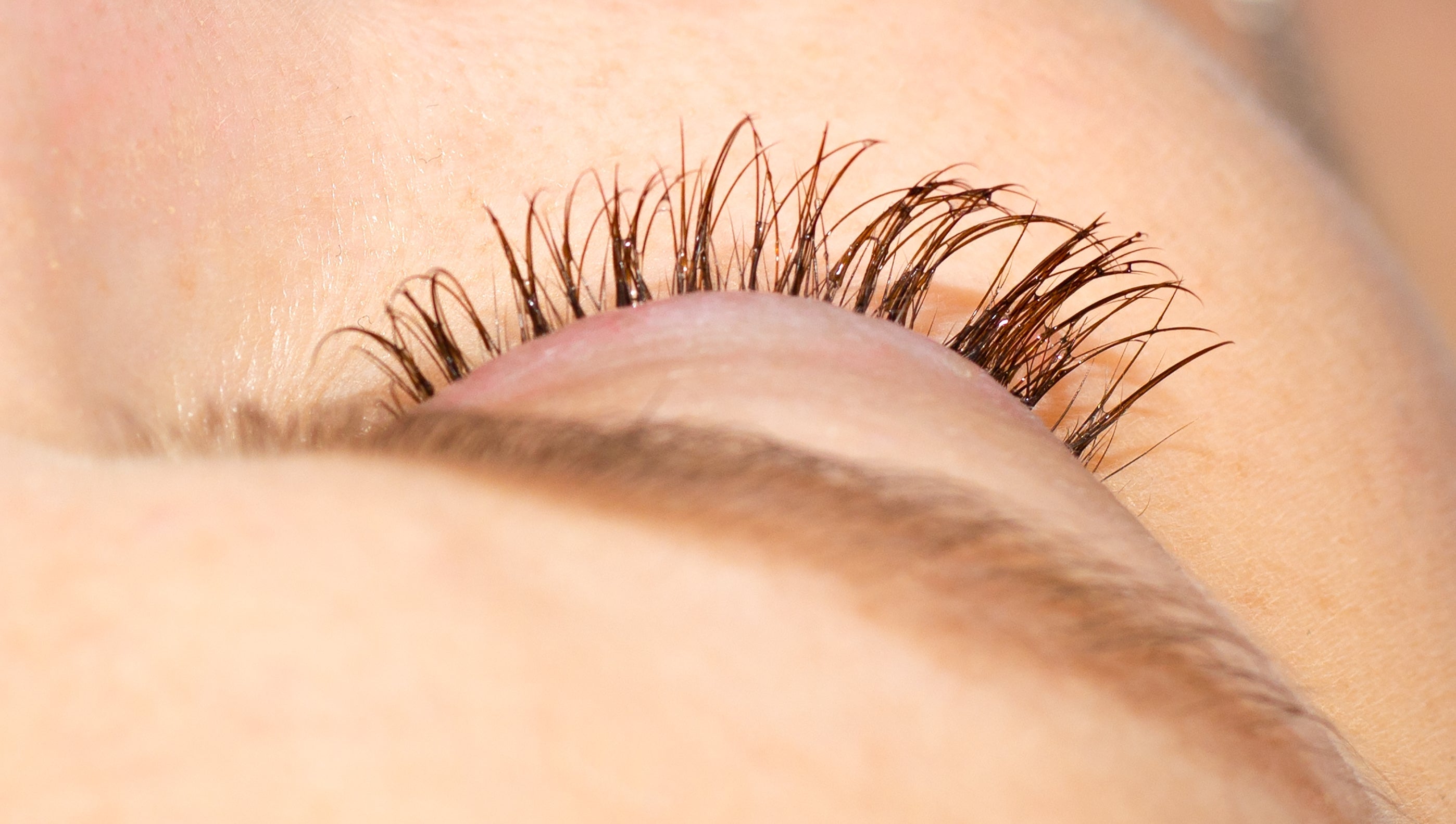 Lash Infection Prevention: Hygiene Tips for Technicians – The Beauty ...